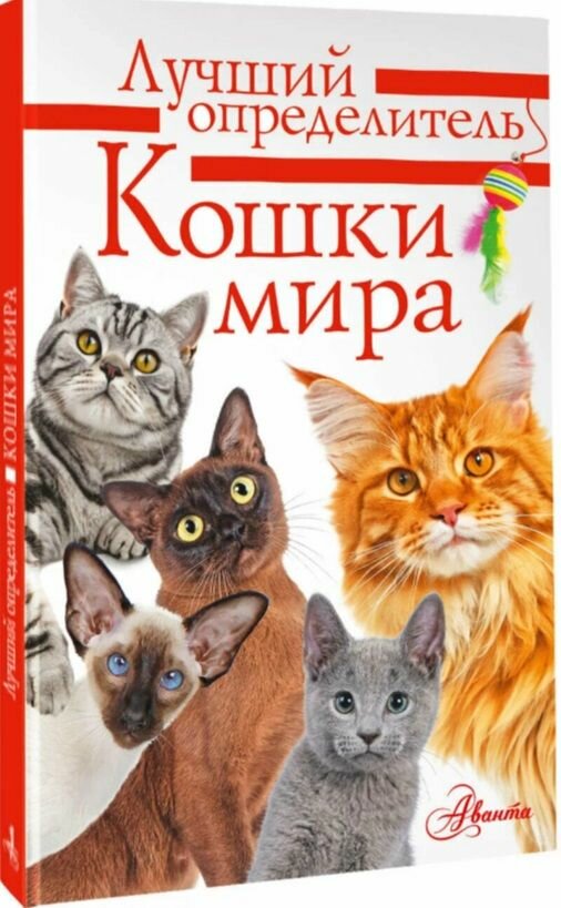 Кошки мира: лучший определитель. Анна Михальская. АСТ, Москва