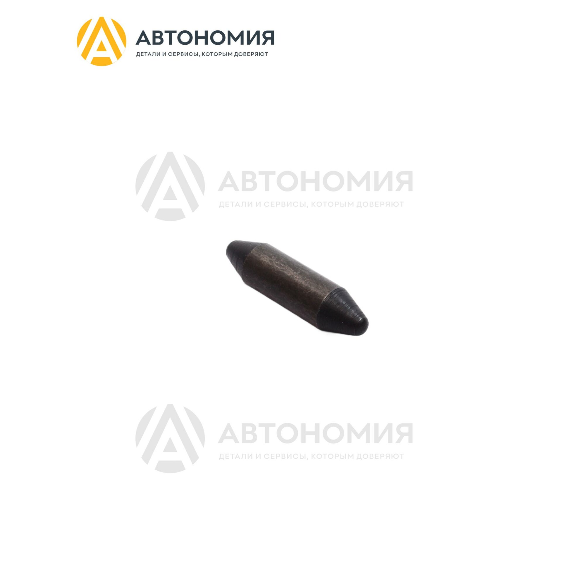 Штифт VAG 06D 103 251