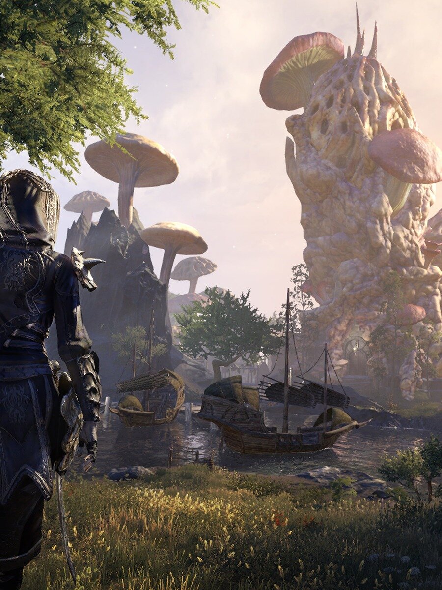 The Elder Scrolls Online: Standard Edition PS4, PS5 — PlayStation Store Индия, цифровая версия — фото 1