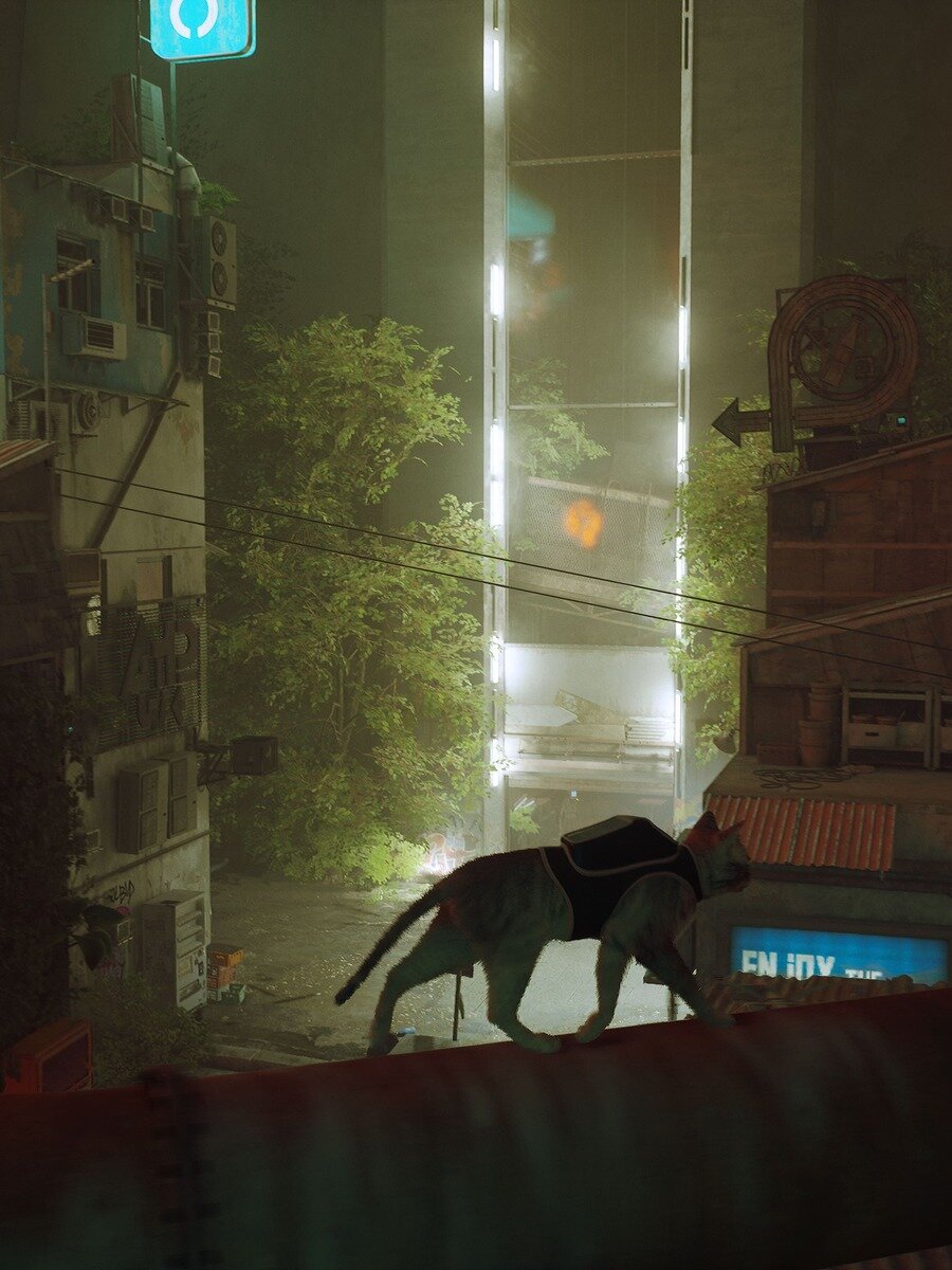 Stray PS4, PS5 — PlayStation Store Индия, цифровая версия — фото 1