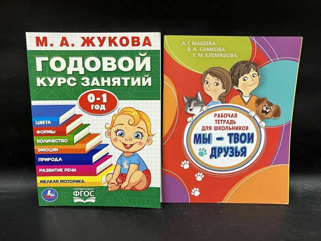 Годовой курс занятий 0-1 год. Рабочая тетрадь Мы твои друзья Комплект из 2-х книг