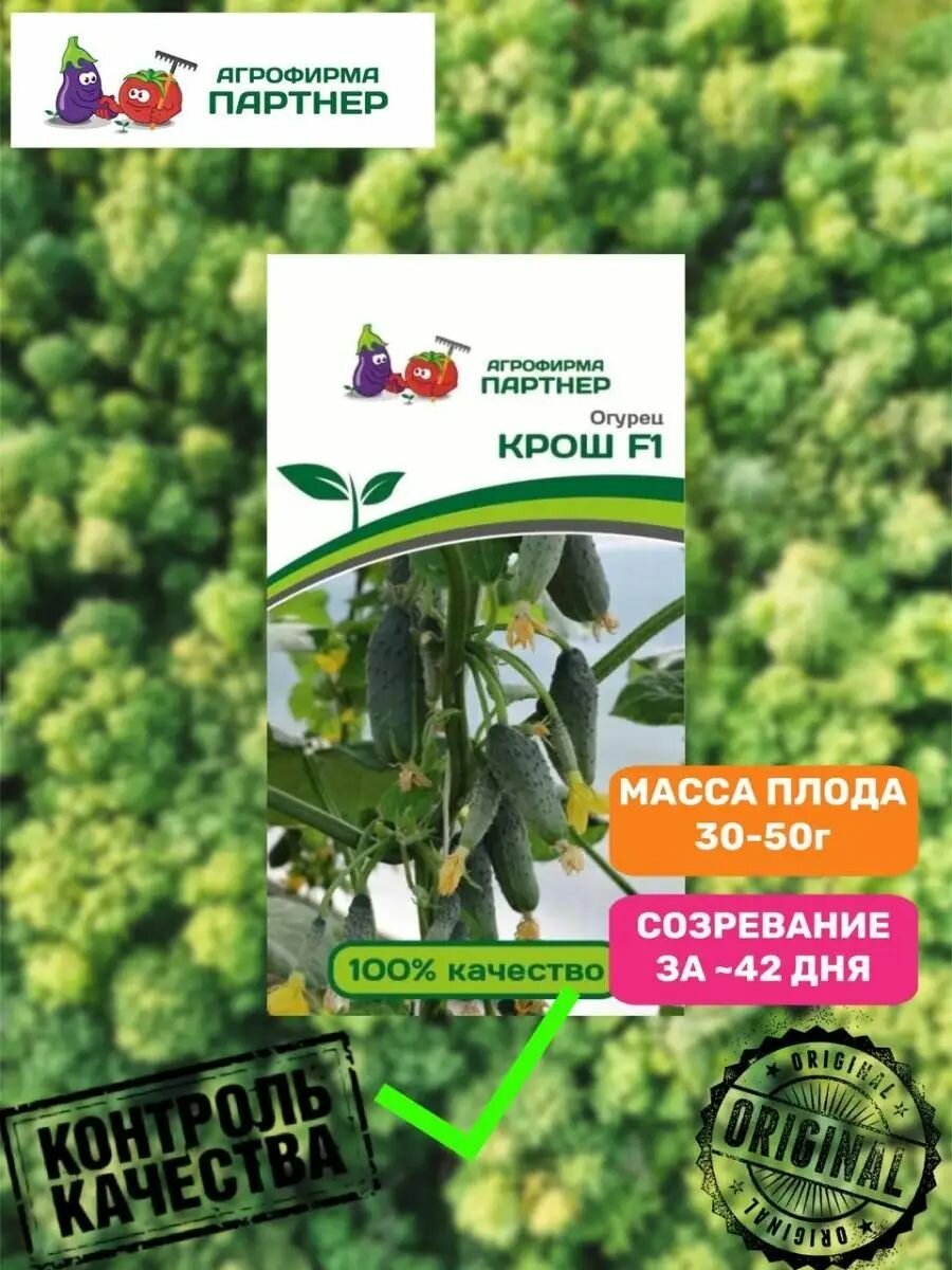 Огурец крош F1, (10шт)