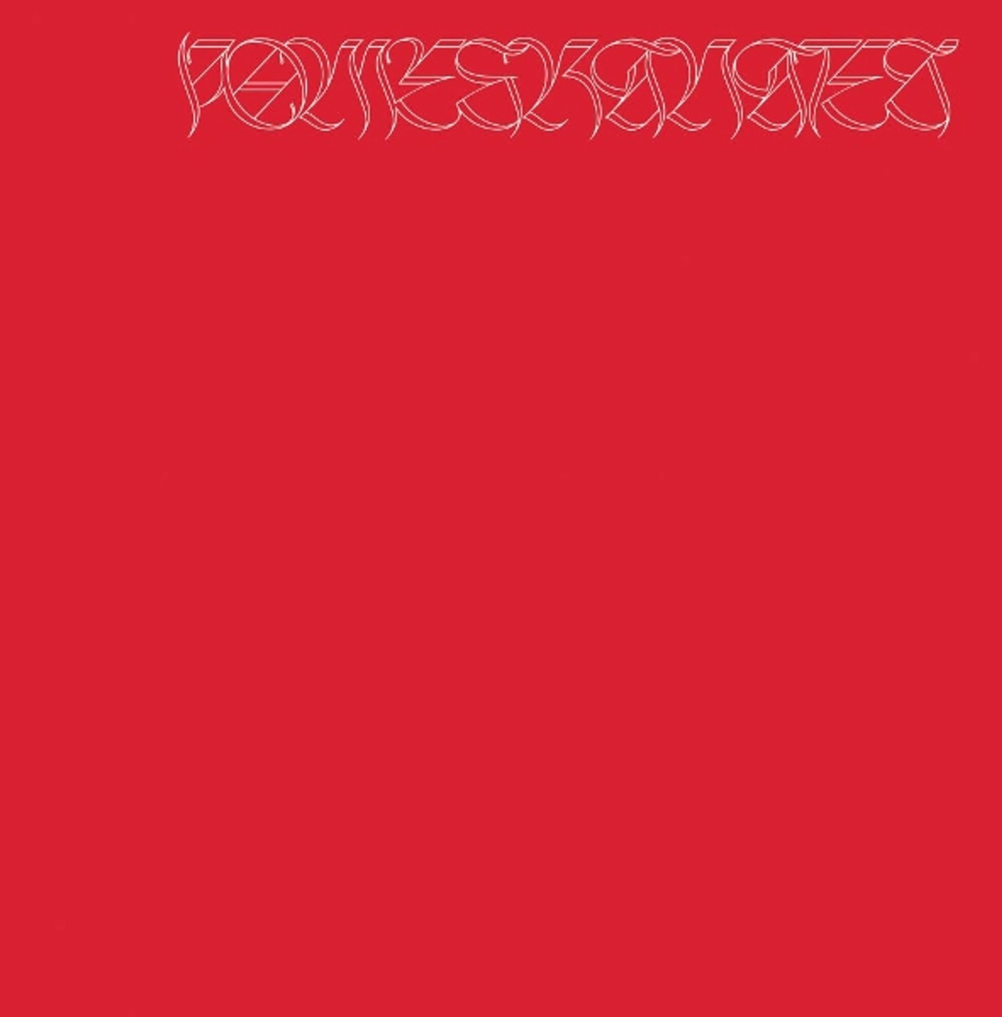 Виниловая пластинка Nicolas Jaar - Pomegranates (180g) (2 LP) (2 LP)