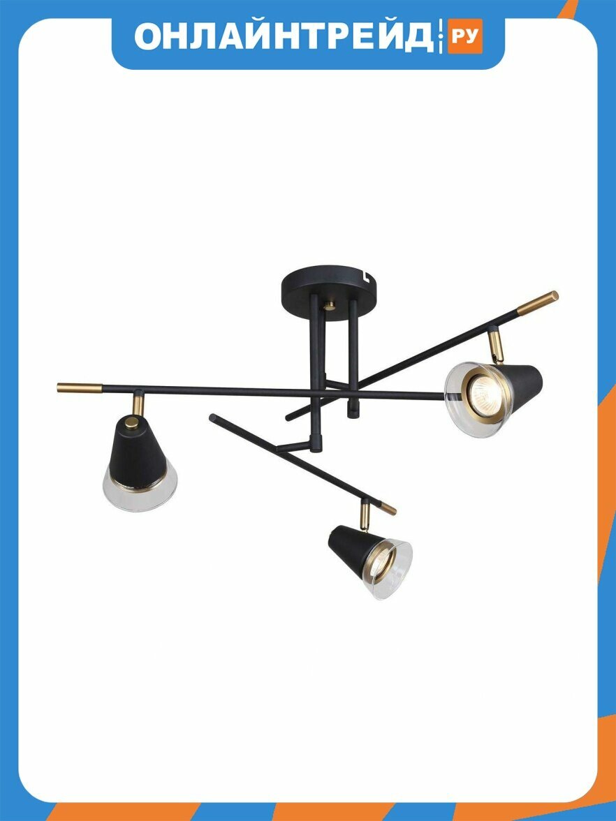 Потолочная люстра F-promo Trandy 4618-3C