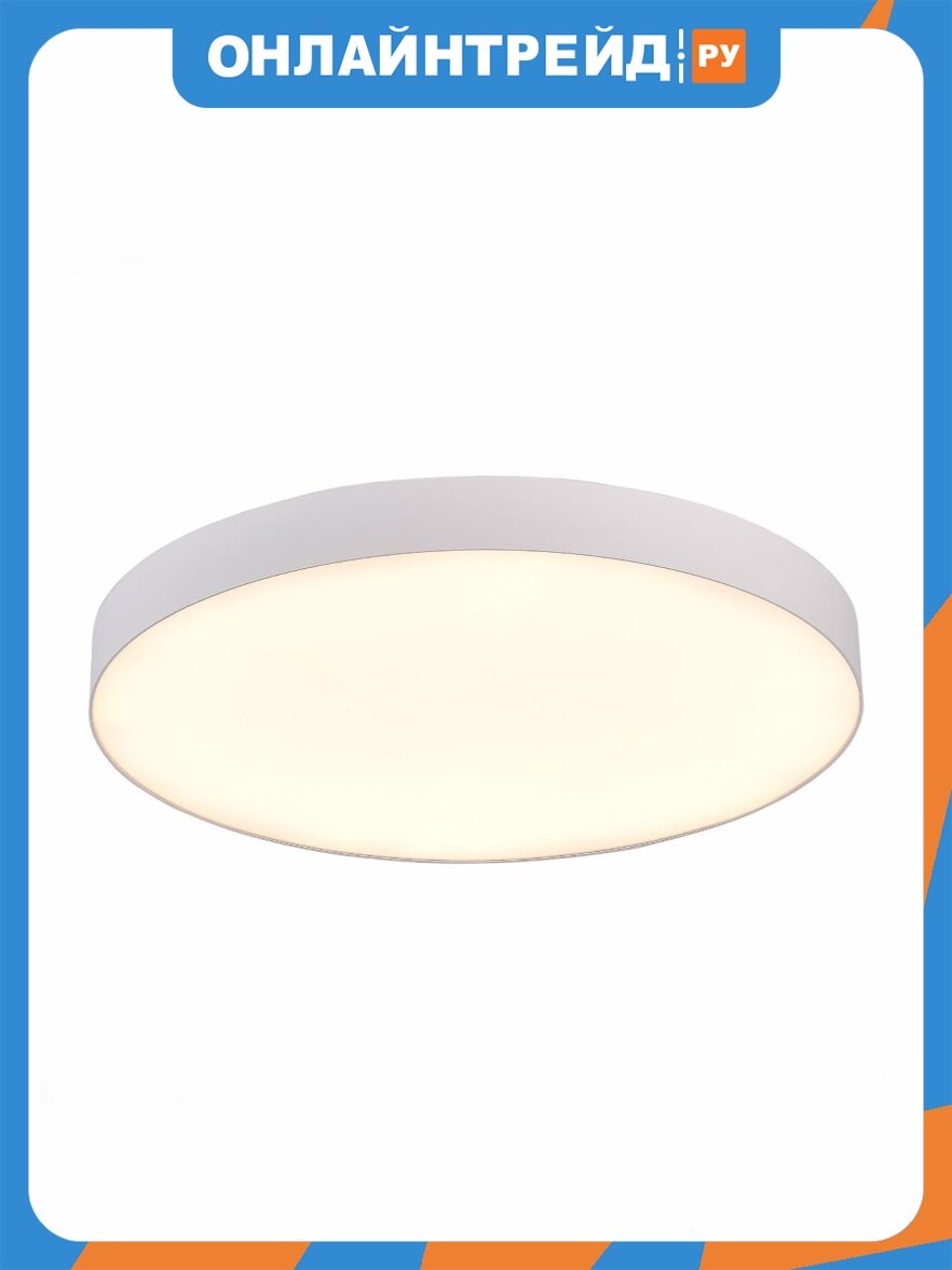 Потолочный светодиодный светильник ST Luce ST606.532.96