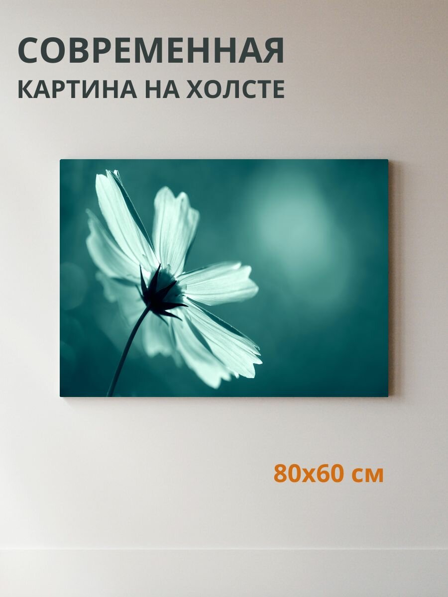 Картина на холсте Цветок 80x60 см