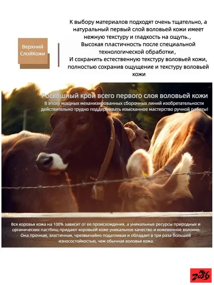 Сумка , темно-коричневый — фото 1
