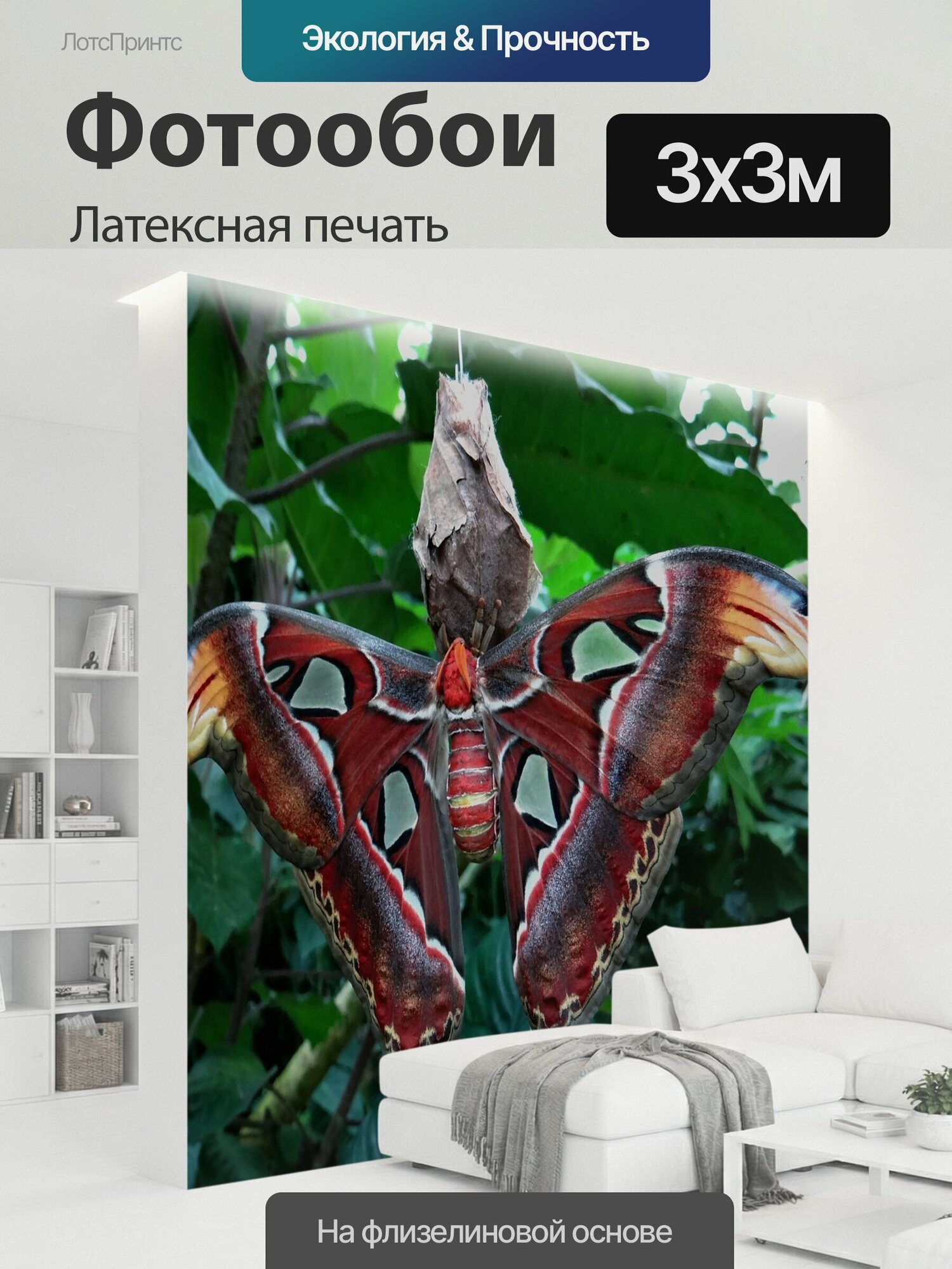 Фотообои моющиеся ударопрочные "Атлас бабочек, павлиноглазка атлас, желтый коричневый" 300x300 см. латексная печать