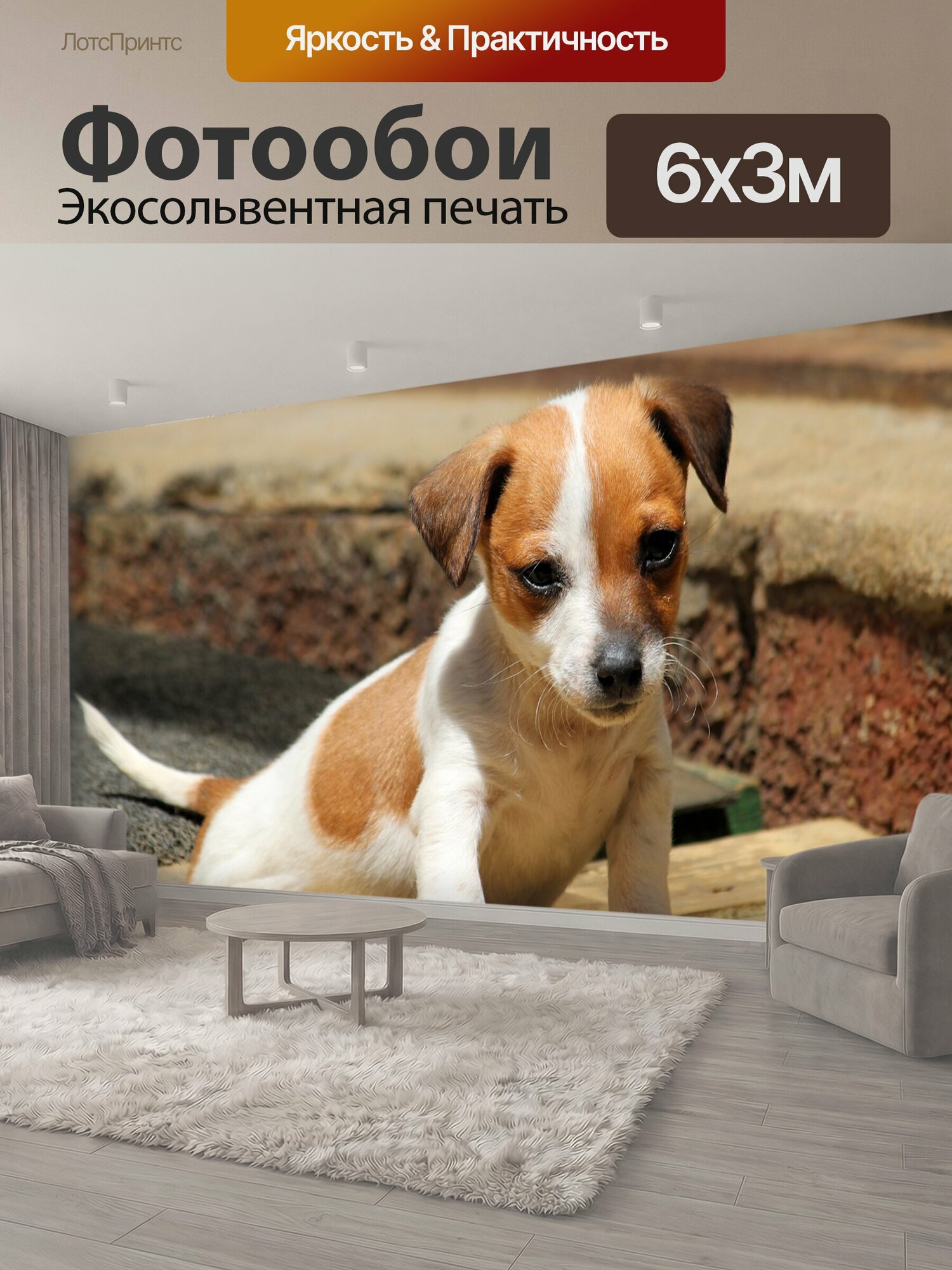 Фотообои "Собака, щенок, джек рассел" 600x300 см. экосольвентная печать