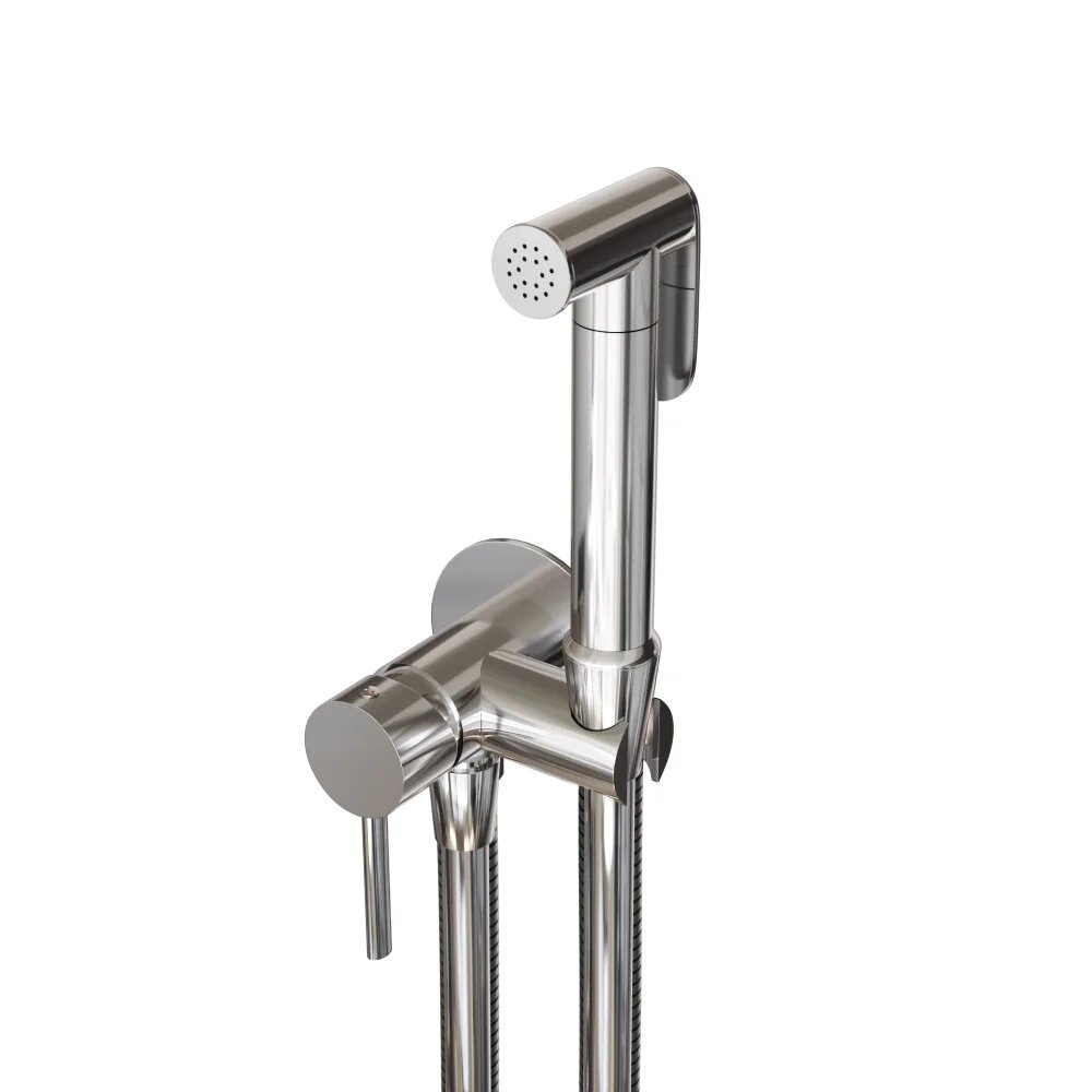 Гигиенический душ RGW Shower Panels SP-211 встраиваемый, скрытого монтажа, со смесителем, хром, глянцевый, латунь, рычажный, смеситель для биде