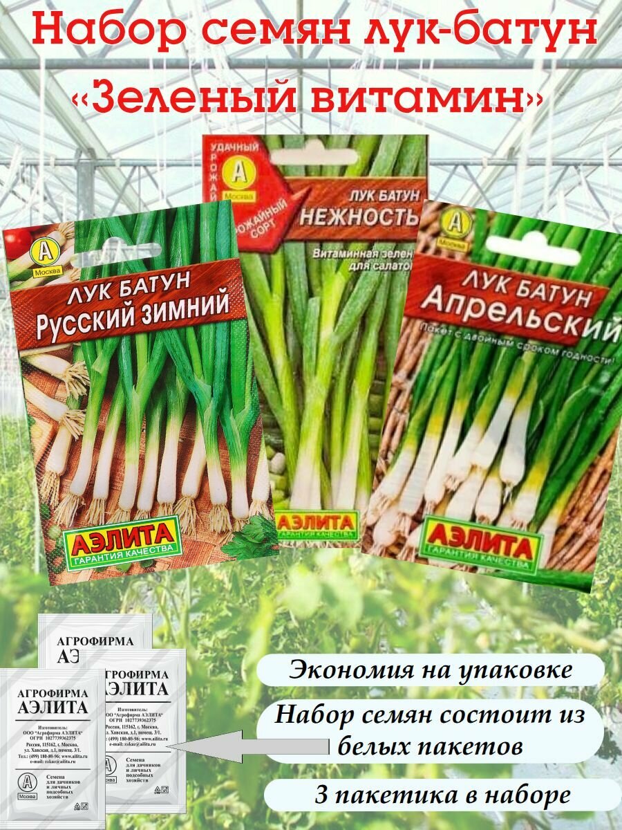 Семена лука-батуна многолетнего набор 3 сорта Зеленый витамин лук батун семена лука многолетний лук зеленый лук