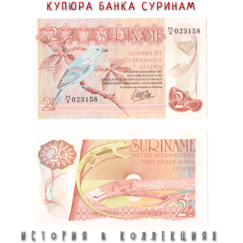 Суринам 2,5 гульдена 1985 «Голубая танагра» UNC