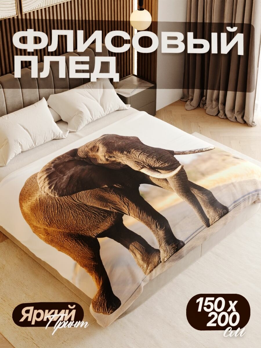 Плед флисовый 150х200 см мягкий теплый покрывало для дома
