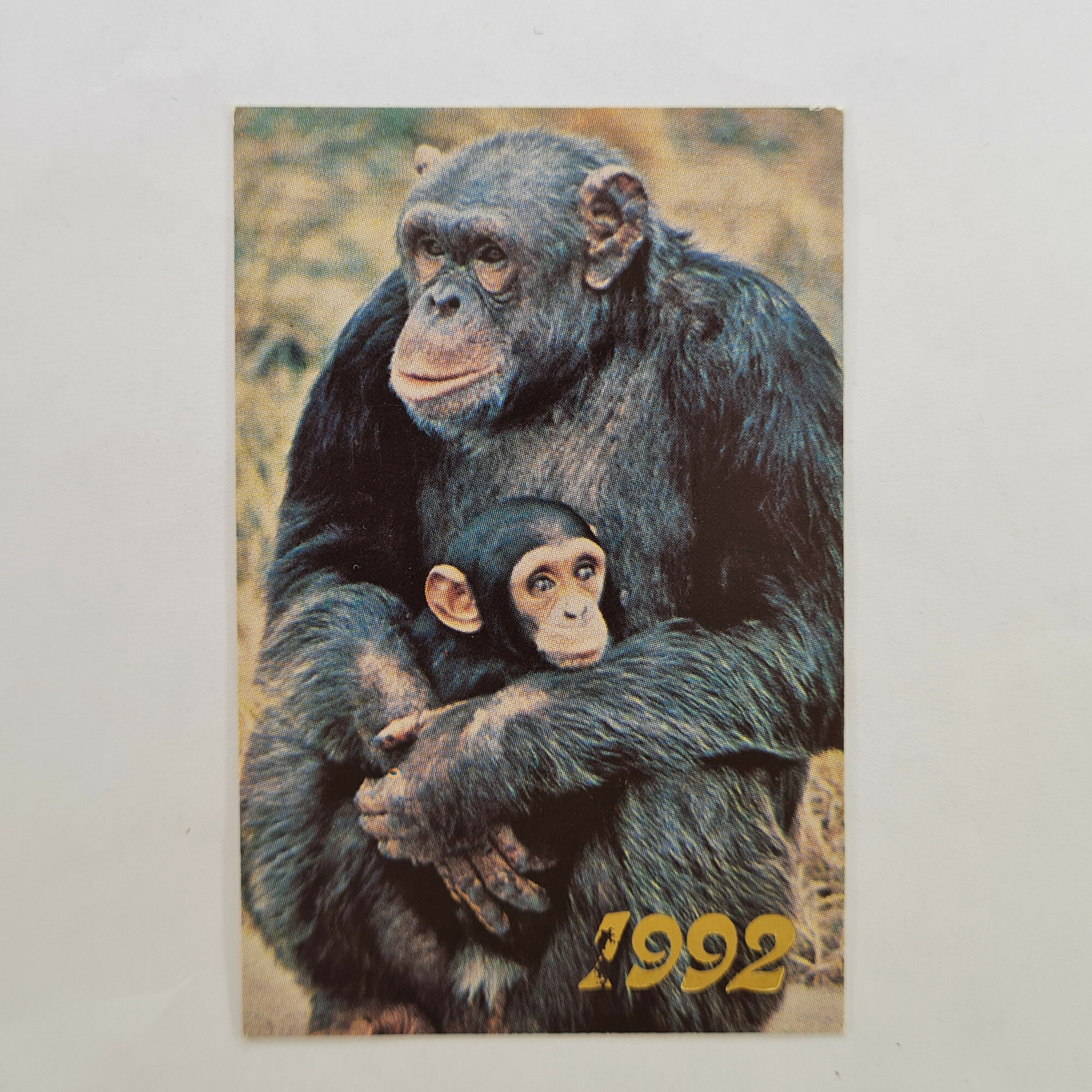 Карманный календарик 1992. Шимпанзе, животные. Календарь винтажный, фото В. Животченко