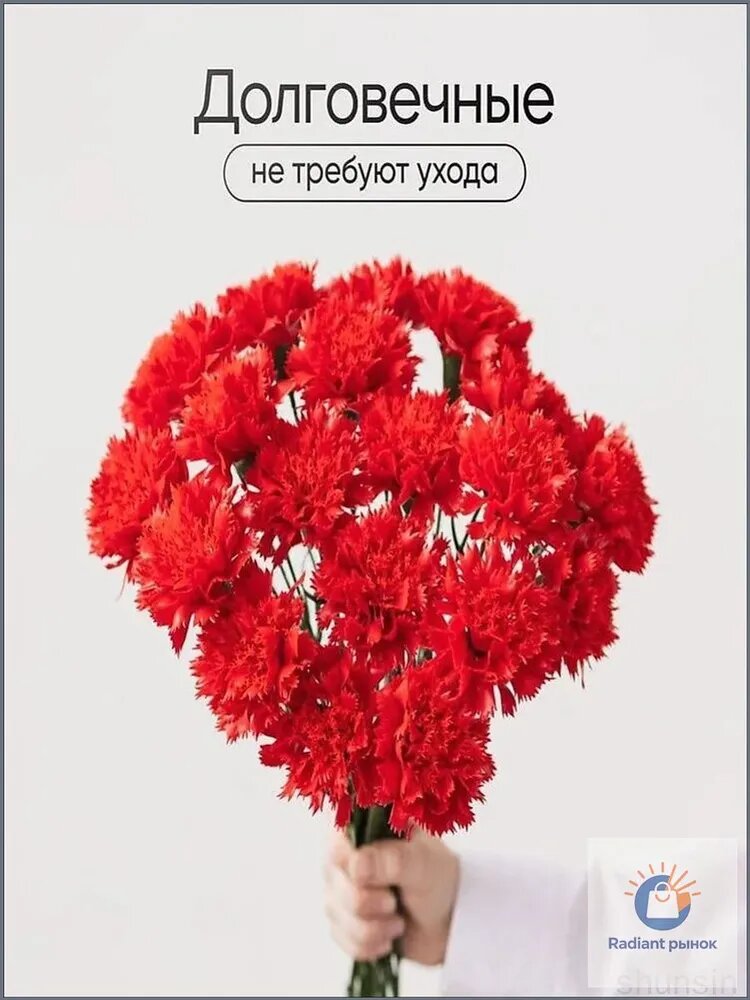 Букет из 20 искусственных гвоздик премиум