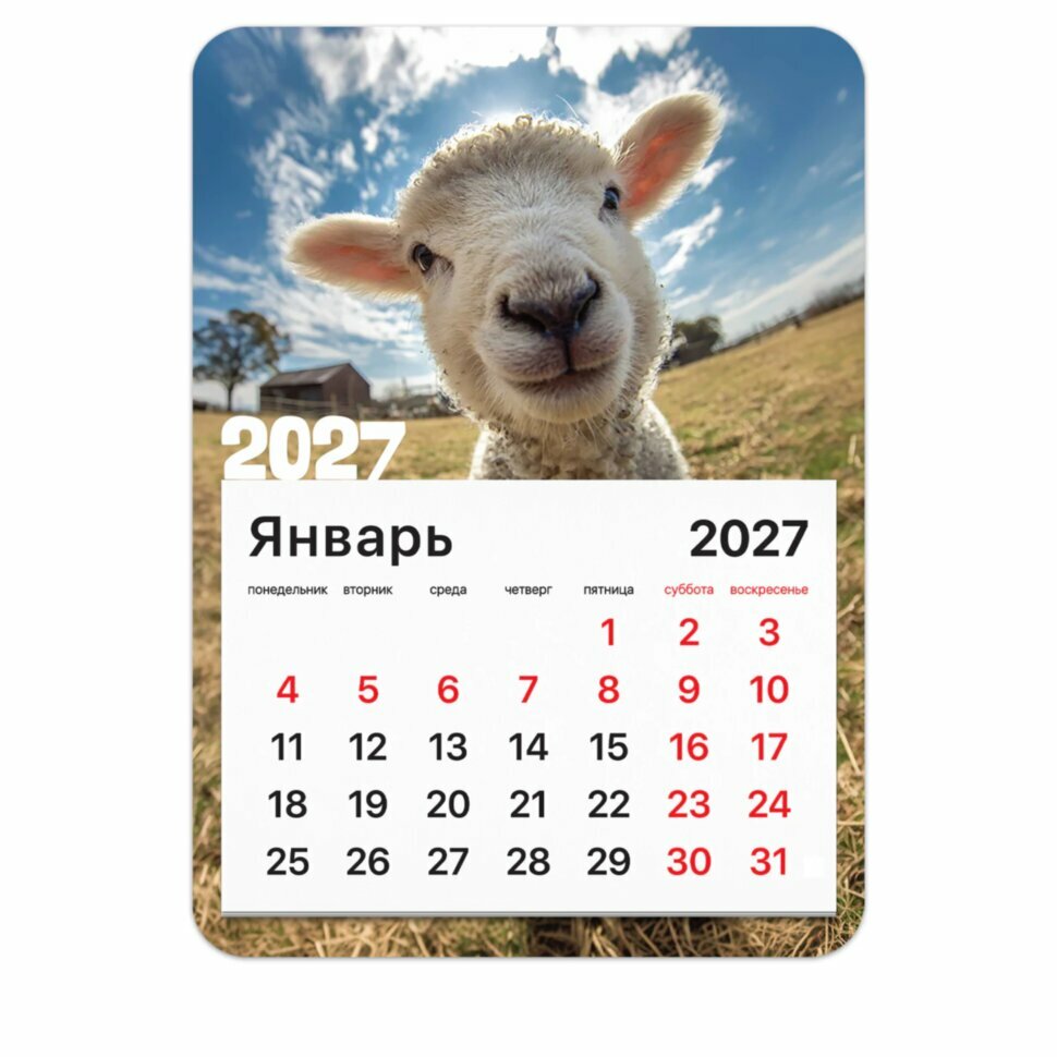 Календарь отрывной на магните на 2027 г, BRAUBERG, 130x180 мм, склейка, "Символ года", 118484, 118484