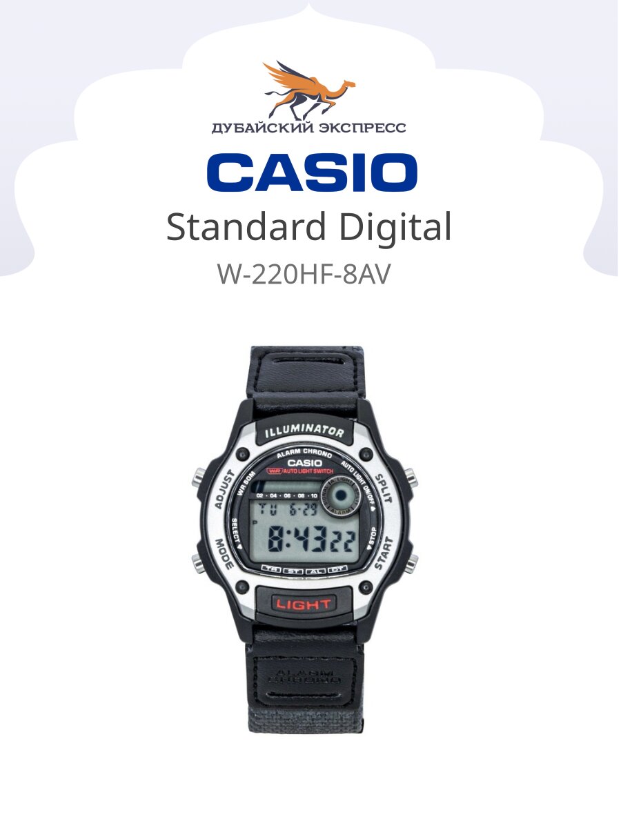 CASIO