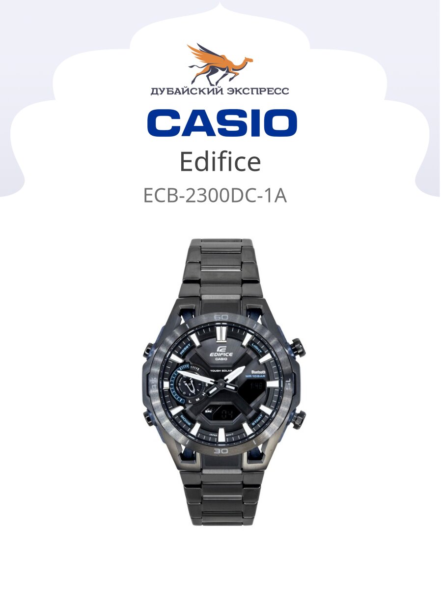  CASIO