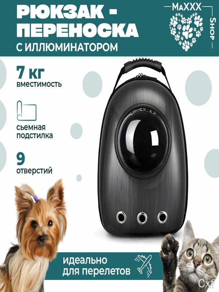 Рюкзак-переноска с иллюминатором / Рюкзак для животных мелких и средних пород 45х31х23 см / Стальной