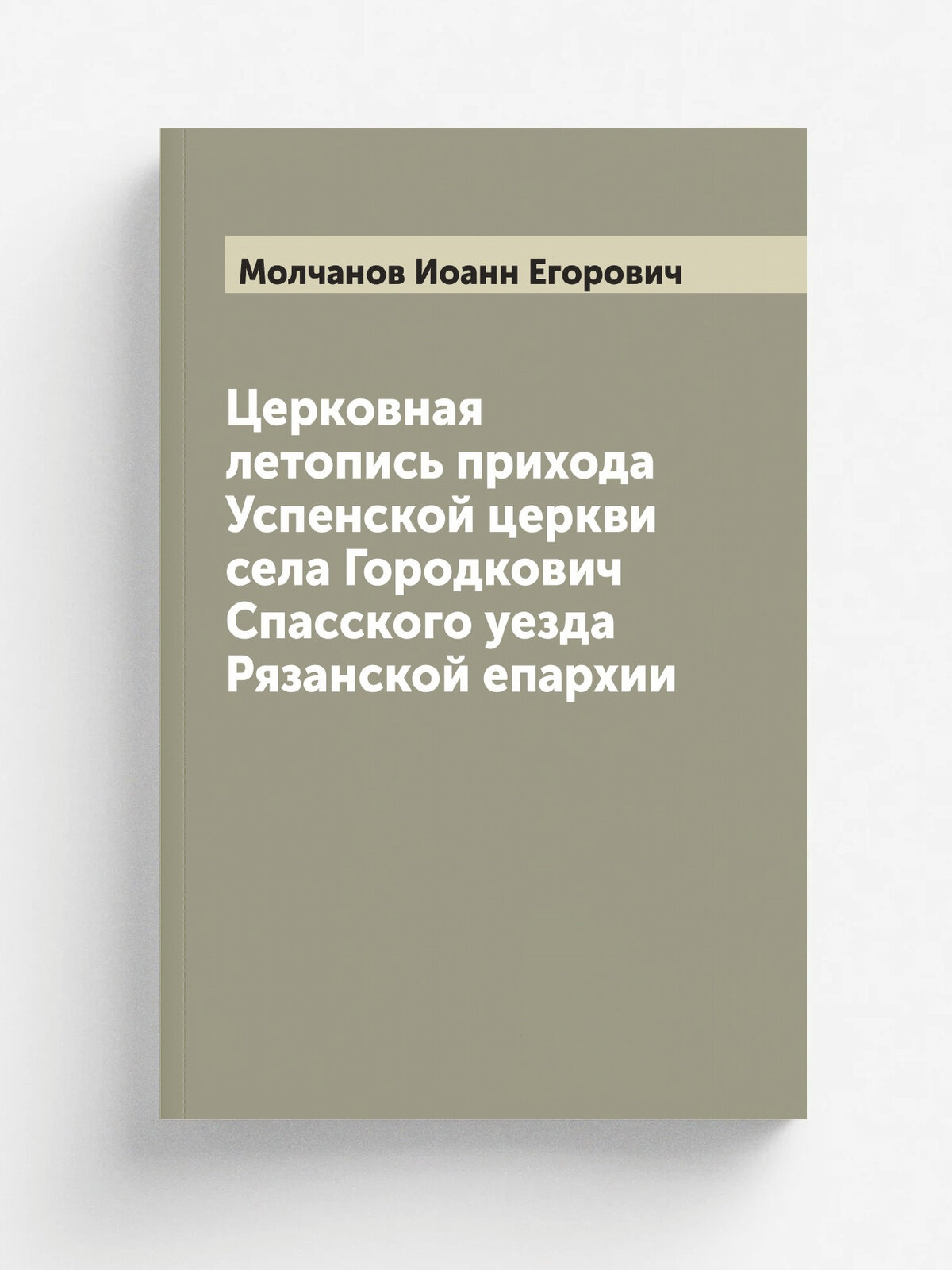 Церковная летопись прихода Успенской церкви села Городкович Спасского уезда Рязанской епархии