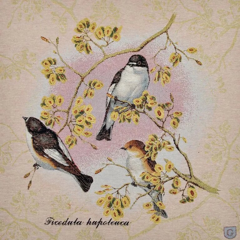 Картина "Один гобелен" 50x50 см