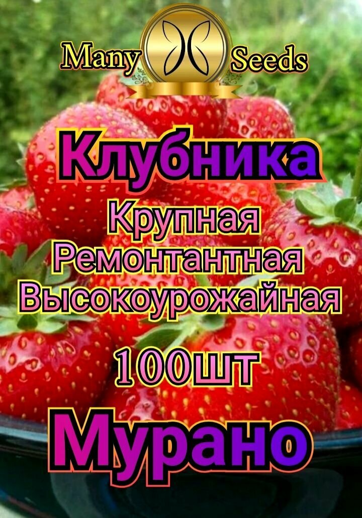 Семена ,100шт для посадки