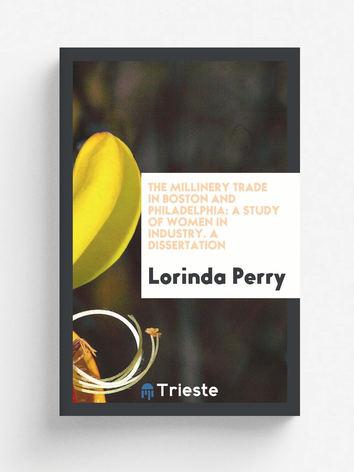 The Millinery Trade in Boston and Philadelphia. A Study of Women in Industry