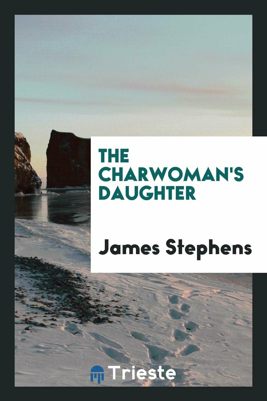 The charwoman's daughter — фото 1