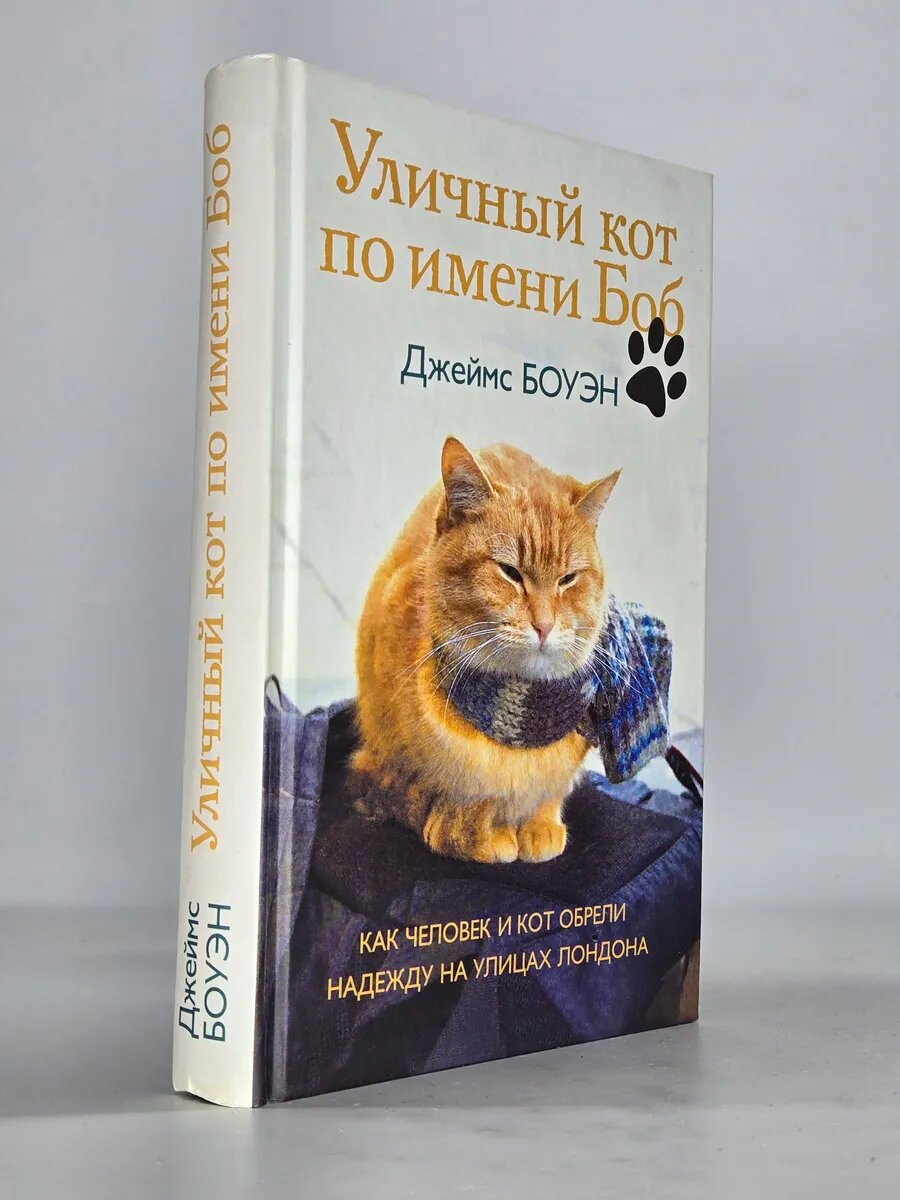 Уличный кот по имени Боб