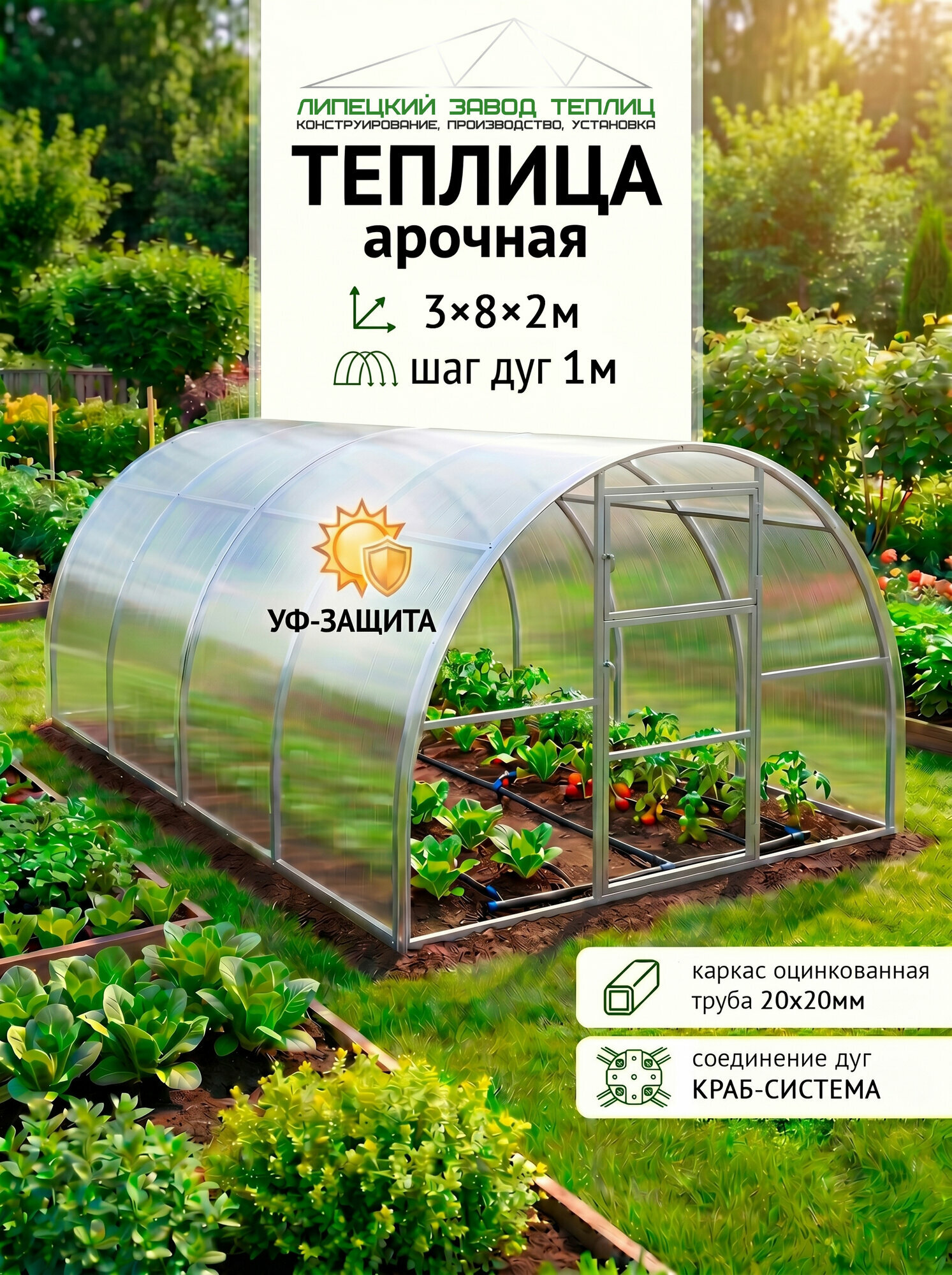 Теплица из поликарбоната арочная 3х8 м шаг 1 м