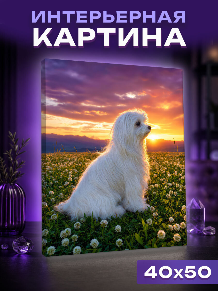 Интерьерная картина Мальтезе в альпийском клевере