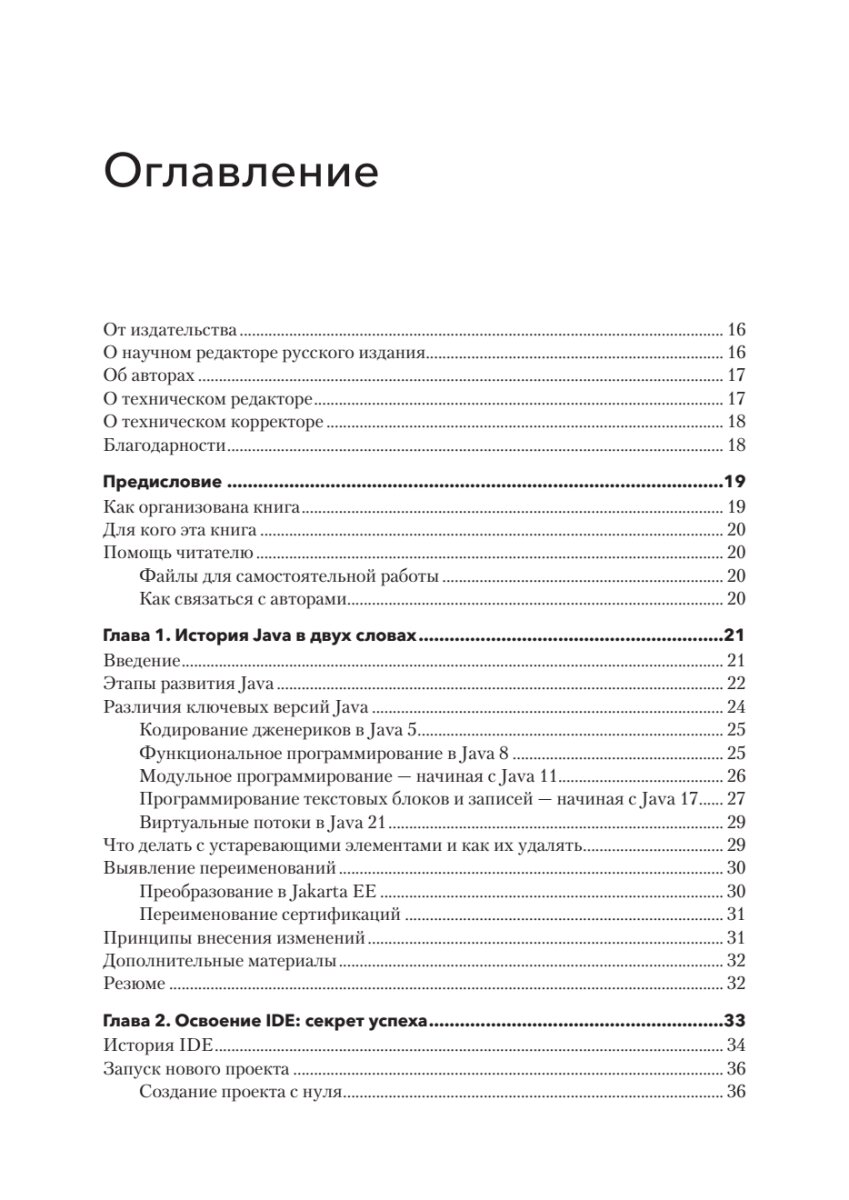 Java для профи. Инструменты, фреймворки, тестирование, производительность (Spring, Git, Prometheus, Project Lombok) — фото 1