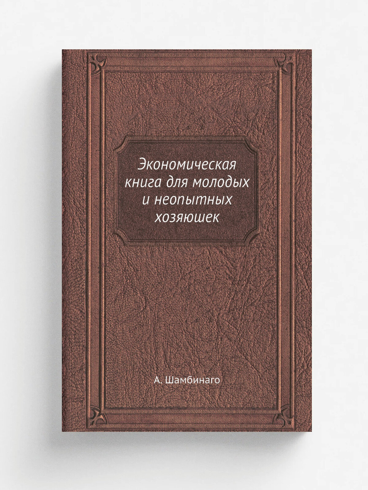 Экономическая книга для молодых и неопытных хозяюшек