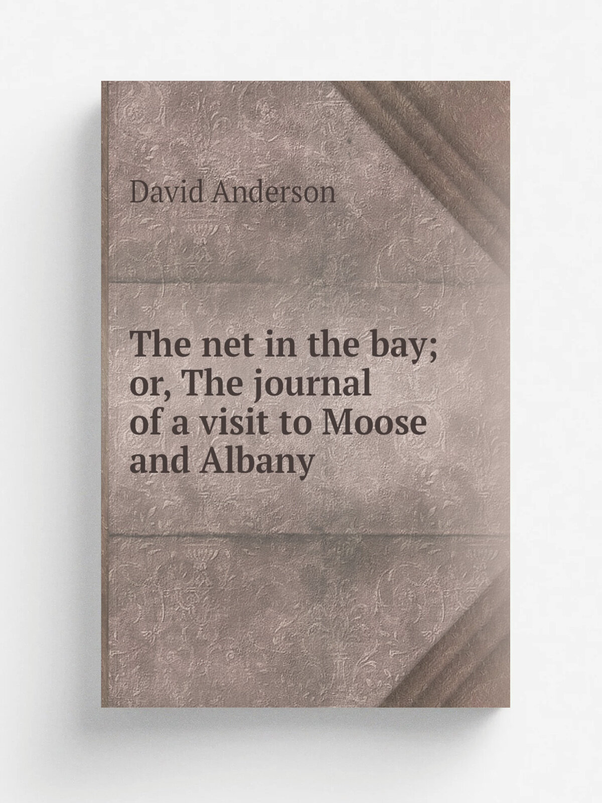 The net in the bay; or, The journal of a visit to Moose and Albany
