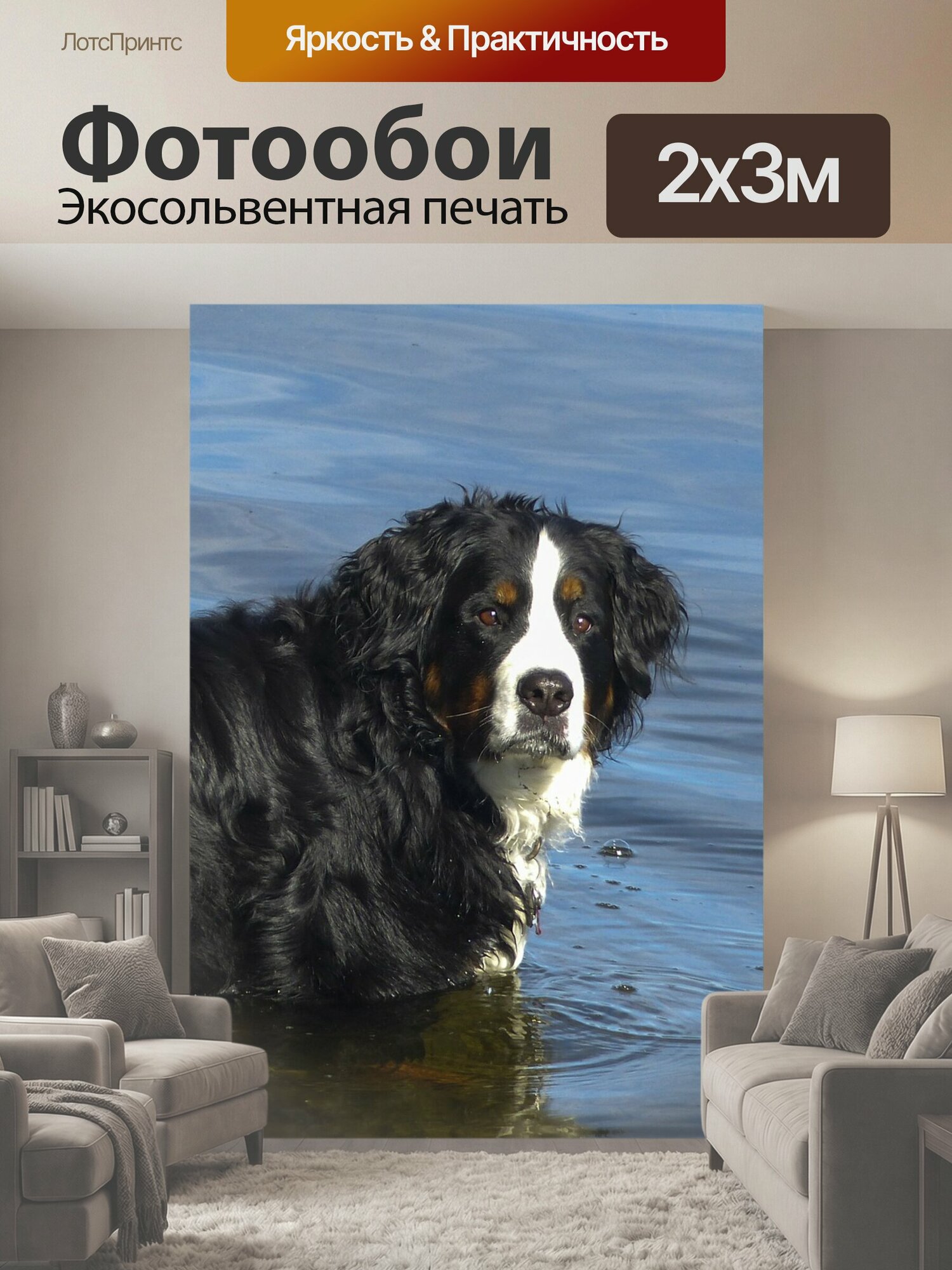 Фотообои "Бернский зенненхунд, собачий, домашний питомец" 200x300 см. экосольвентная печать