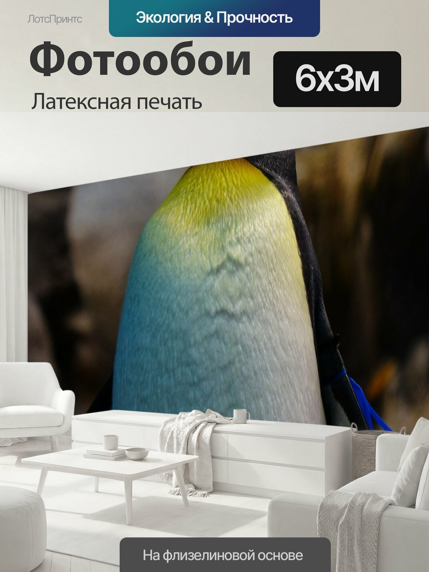 Фотообои моющиеся ударопрочные "Королевский пингвин, пингвин, aptenodytes patagonicus" 600x300 см. латексная печать