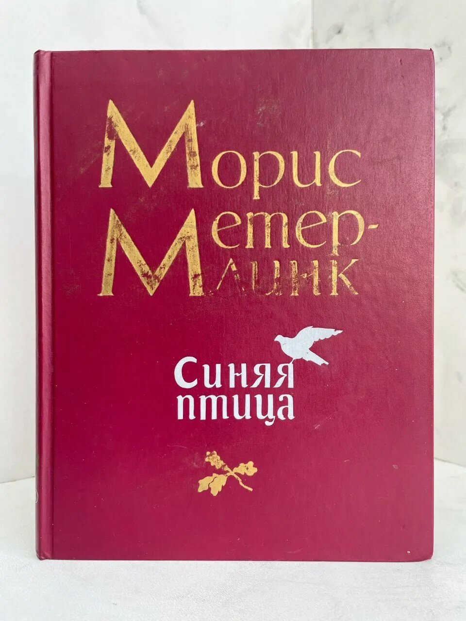 Синяя птица — фото 1