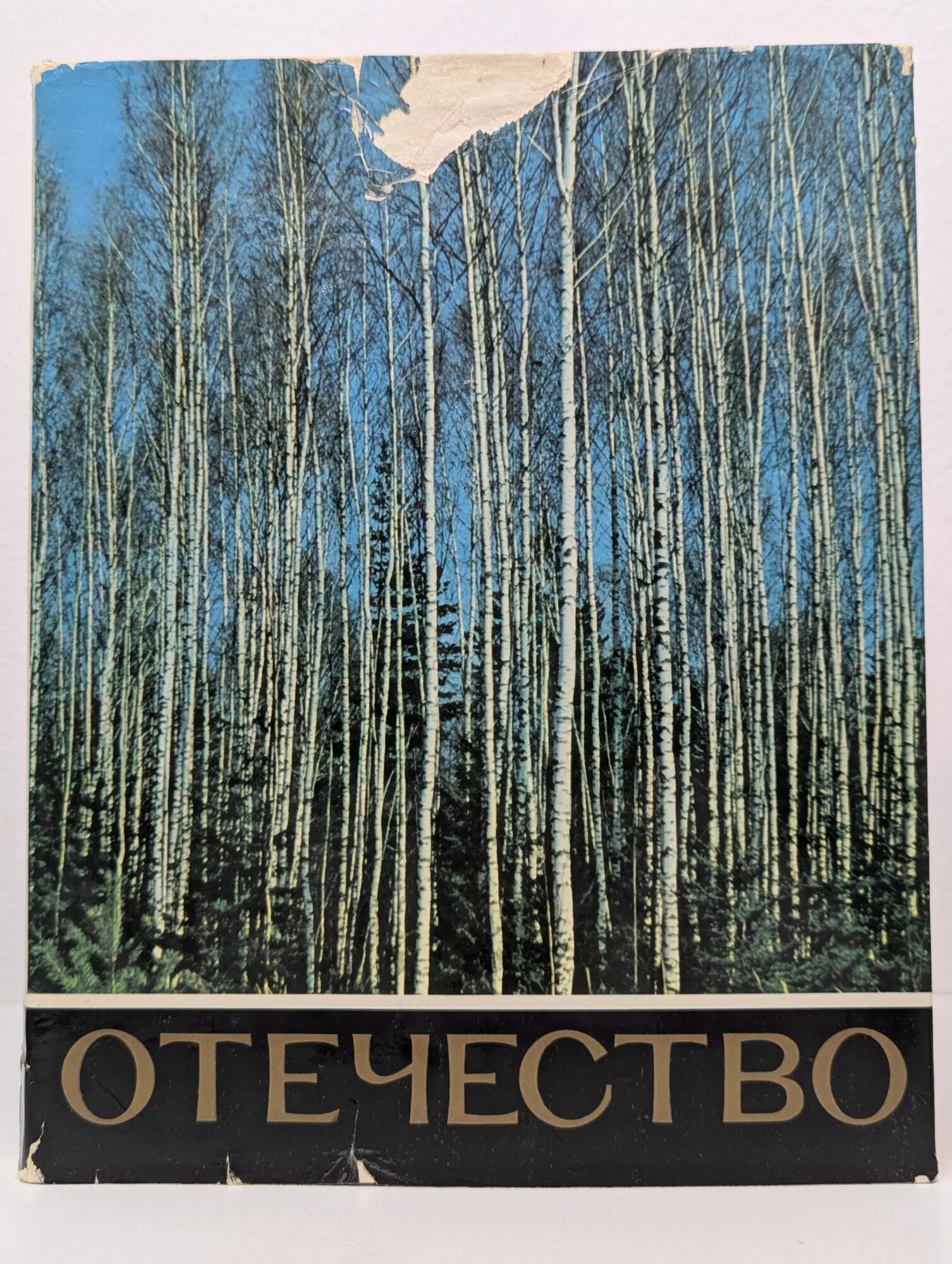 Отечество Песков Василий Михайлович 1972