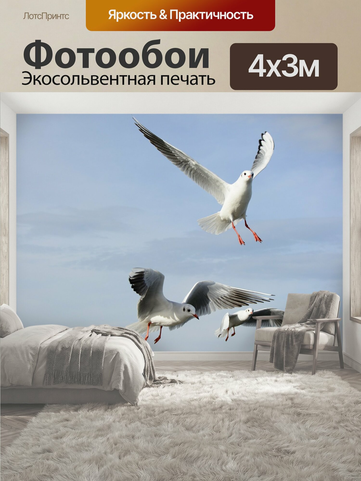 Фотообои "Чайки, птица, летающий" 400x300 см. экосольвентная печать