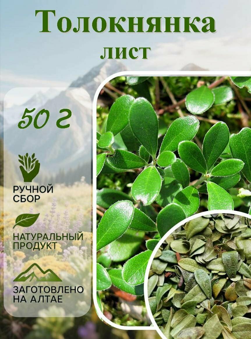 Толокнянка обыкновенная листья (медвежьи ушки), 50 грамм, АлтайМир