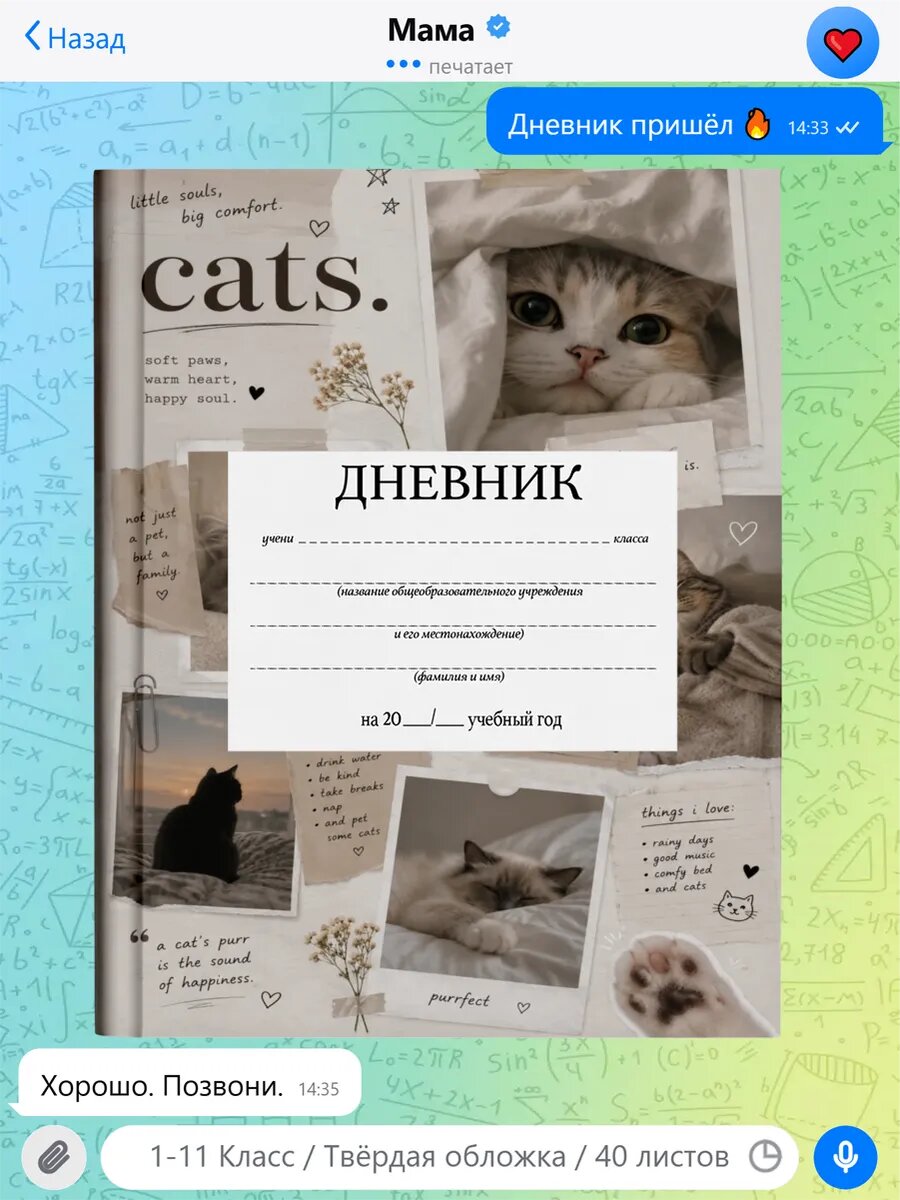 Школьный дневник с принтом y2k pinterest