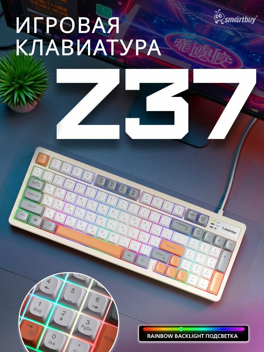 Клавиатура игровая с подсветкой Smartbuy Rush Z37, цветная