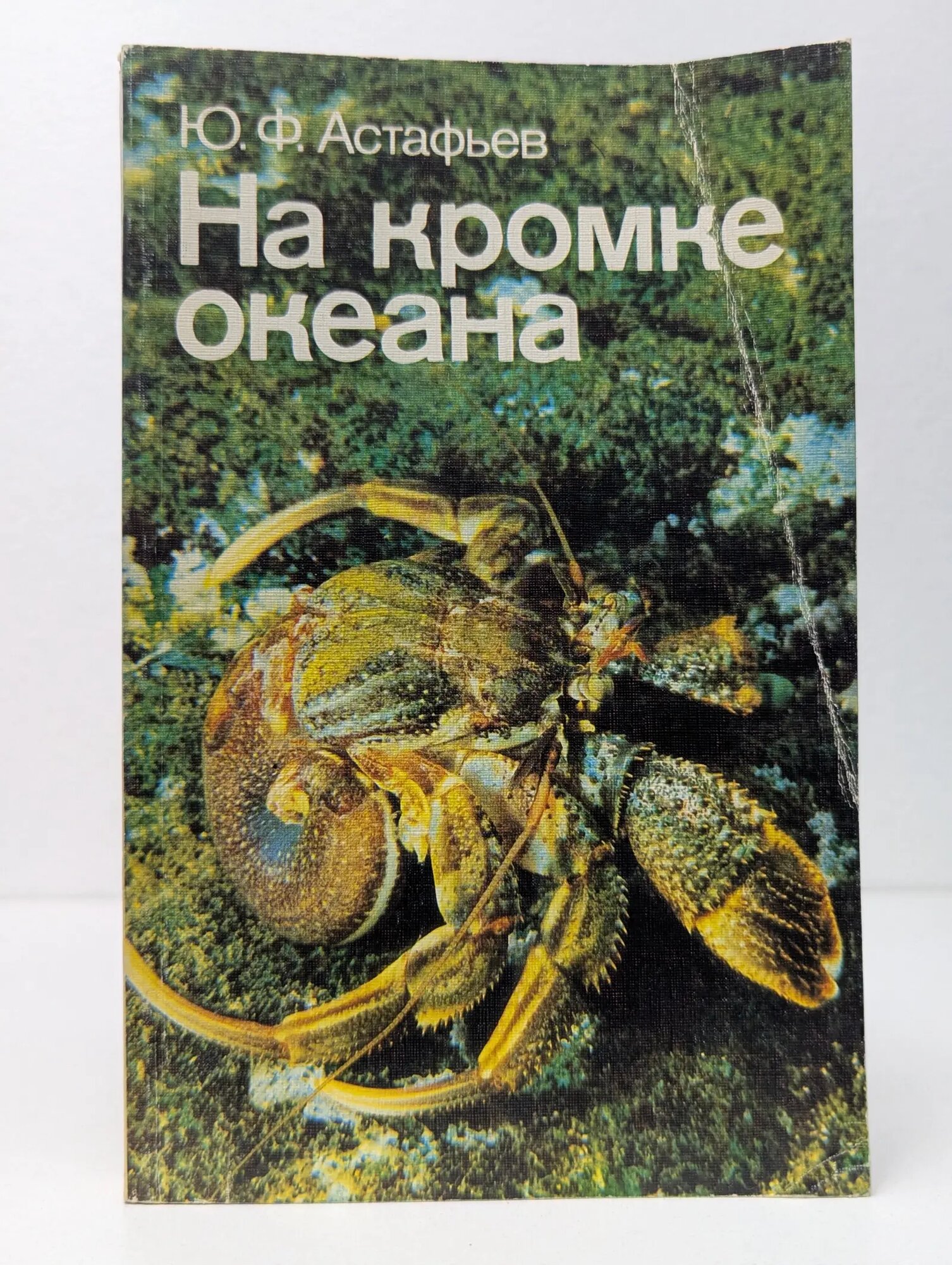 На кромке океана Астафьев Юрий Федорович 1986