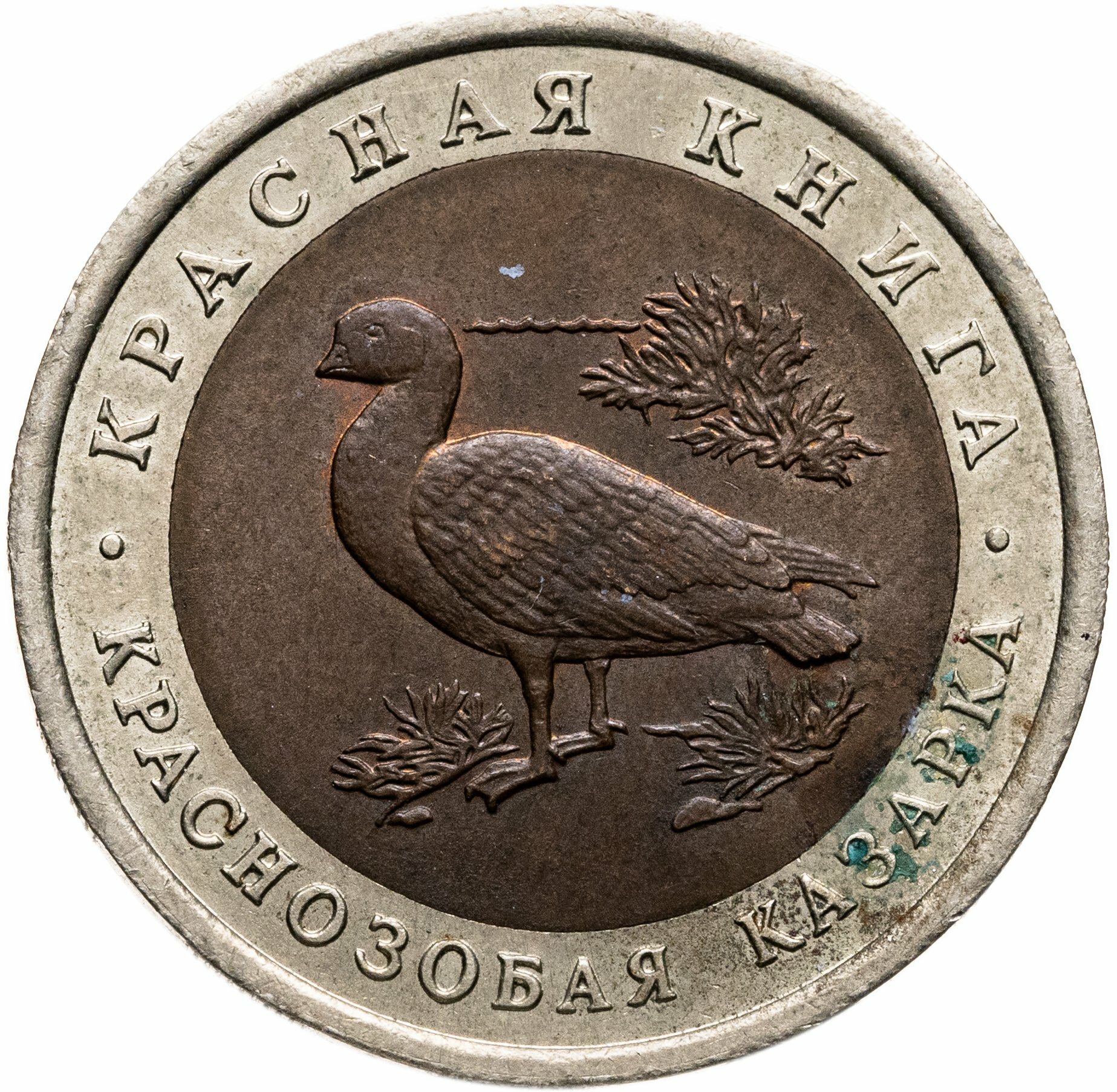 10 рублей 1992 ЛМД краснозобая казарка, Биметалл, в сохранности XF