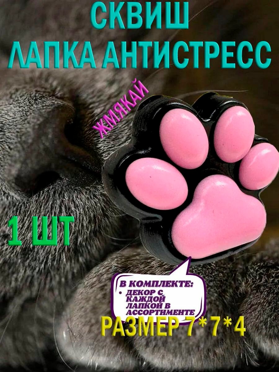 Антистресс таба сквиш лапка котика для детей