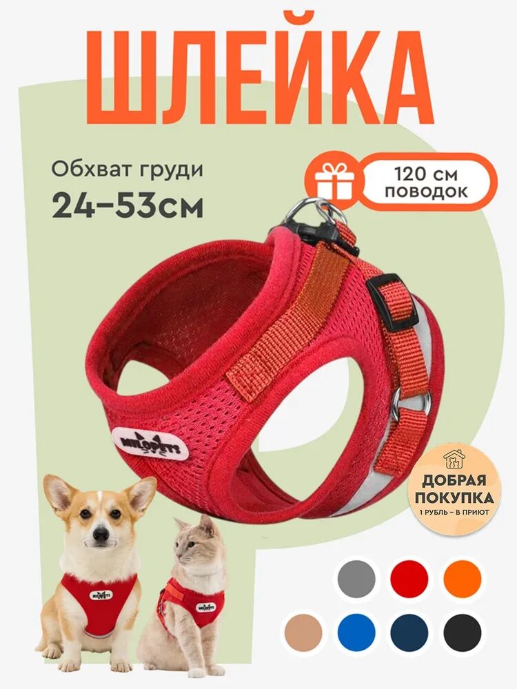 Шлейка для собак мелких пород и кошек MiloPets, с поводком, цвет черный