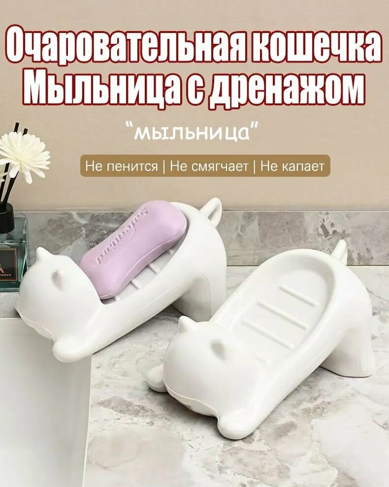 Мыльница