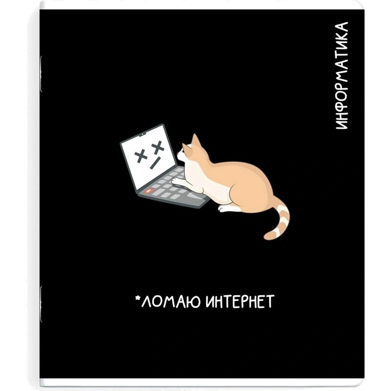 Тетрадь предметнaя информатика 'коты мемы' 48 л, А5+, клетка, справ. инф/69827