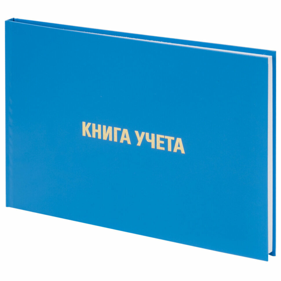 Книга учета 96 л, клетка, твердая, бумвинил, блок офсет, альбомная, А4 203х290 мм, BRAUBERG, 130074, 130074