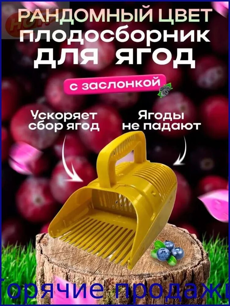 Плодосборник